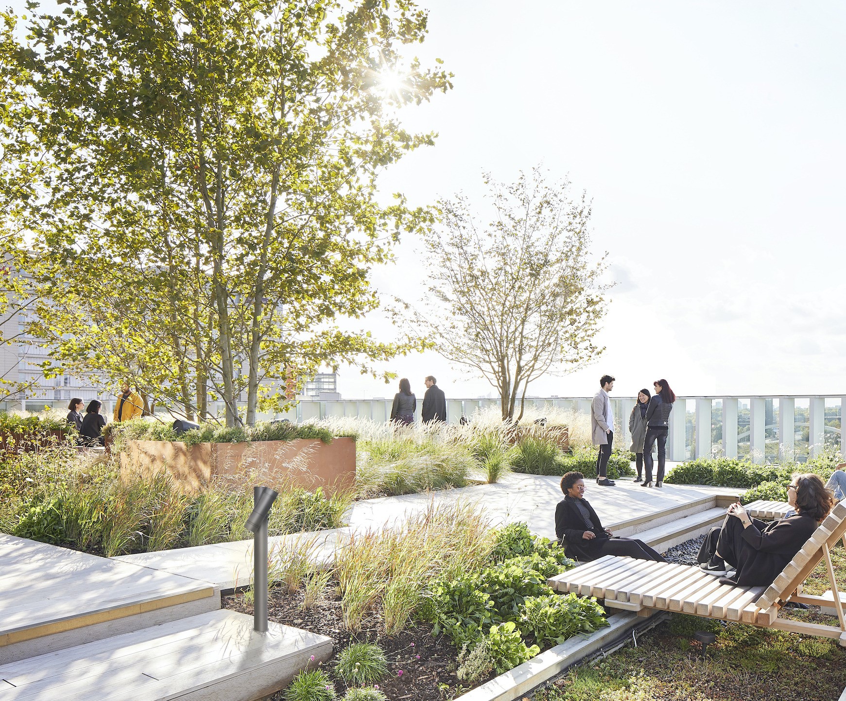 Nebula Urban Lighting System – SOM