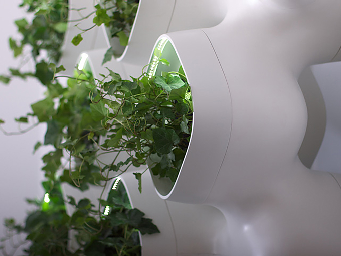 Ventilation Goes Vegetal: CASE's Plant-Based Air Filtration System – SOM