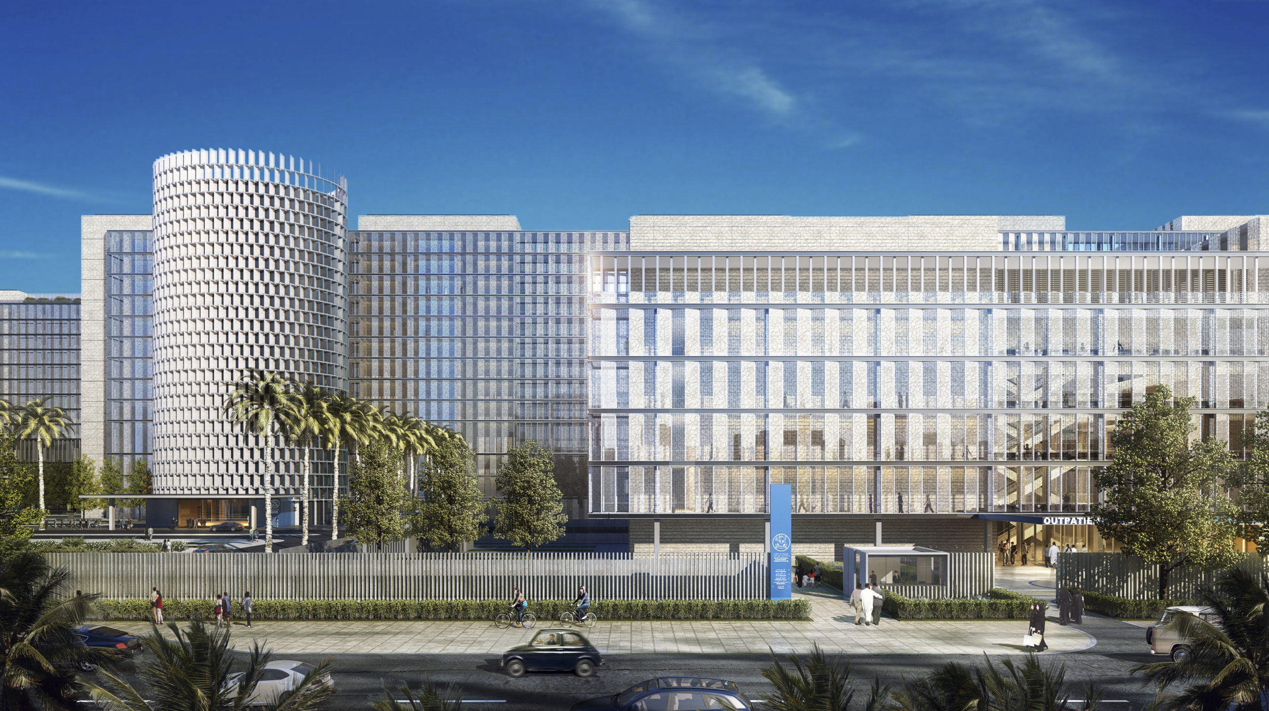 New National Cancer Institute – Egypt – SOM