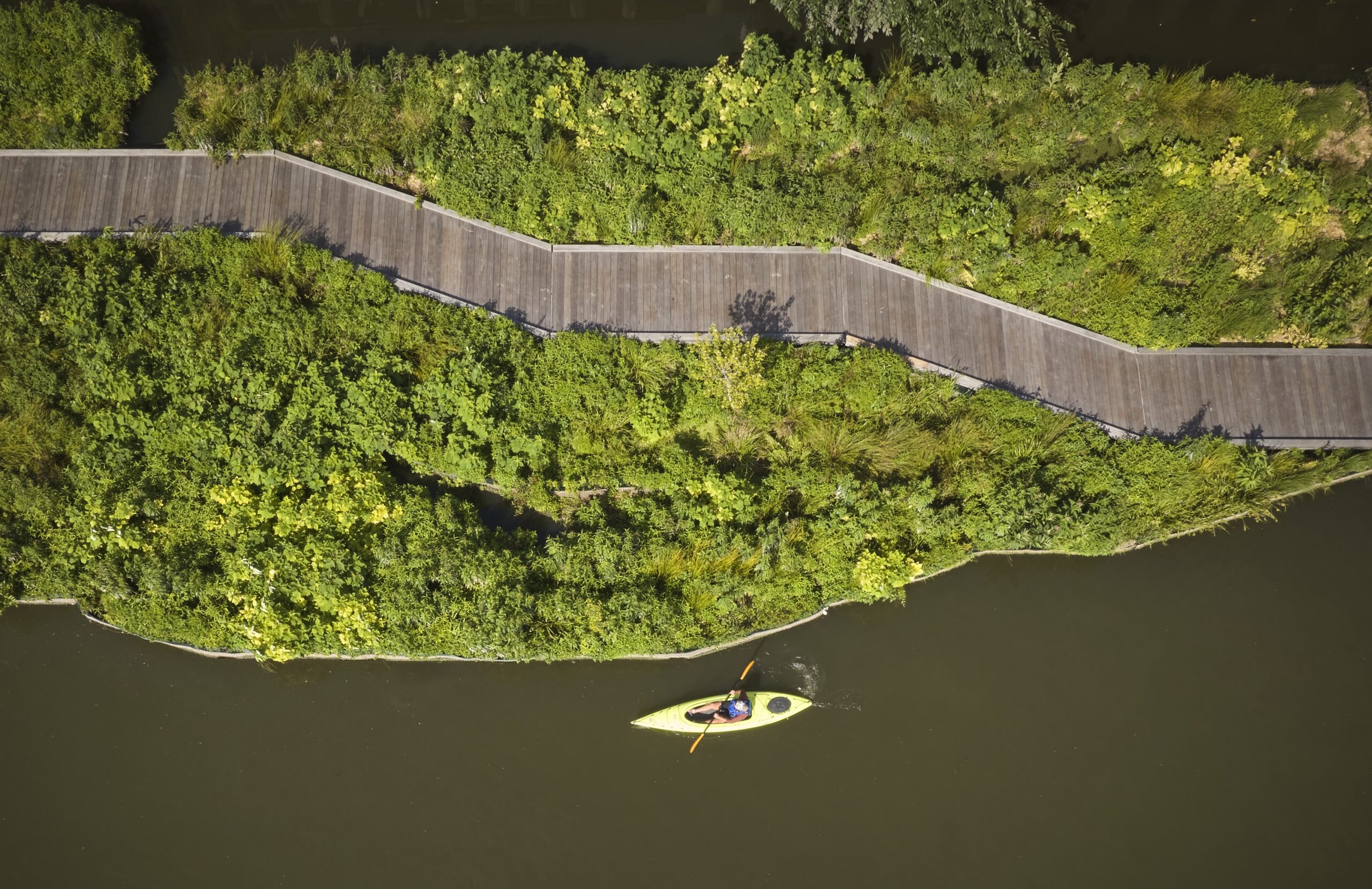 Doug Voigt Highlights the Wild Mile’s Role in Climate Action and ...