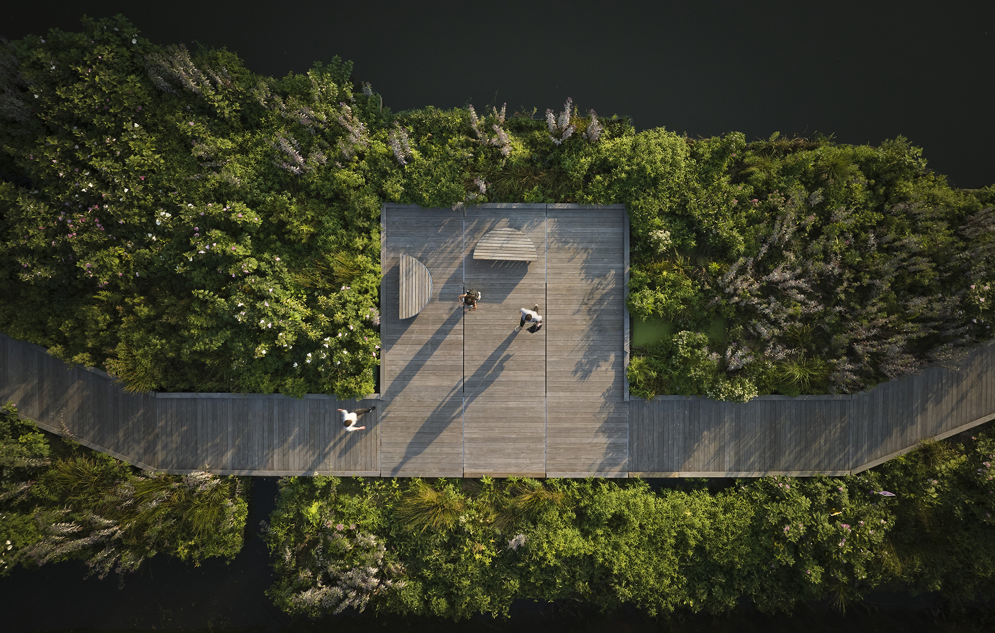 2024 Climate Action Report Released – SOM