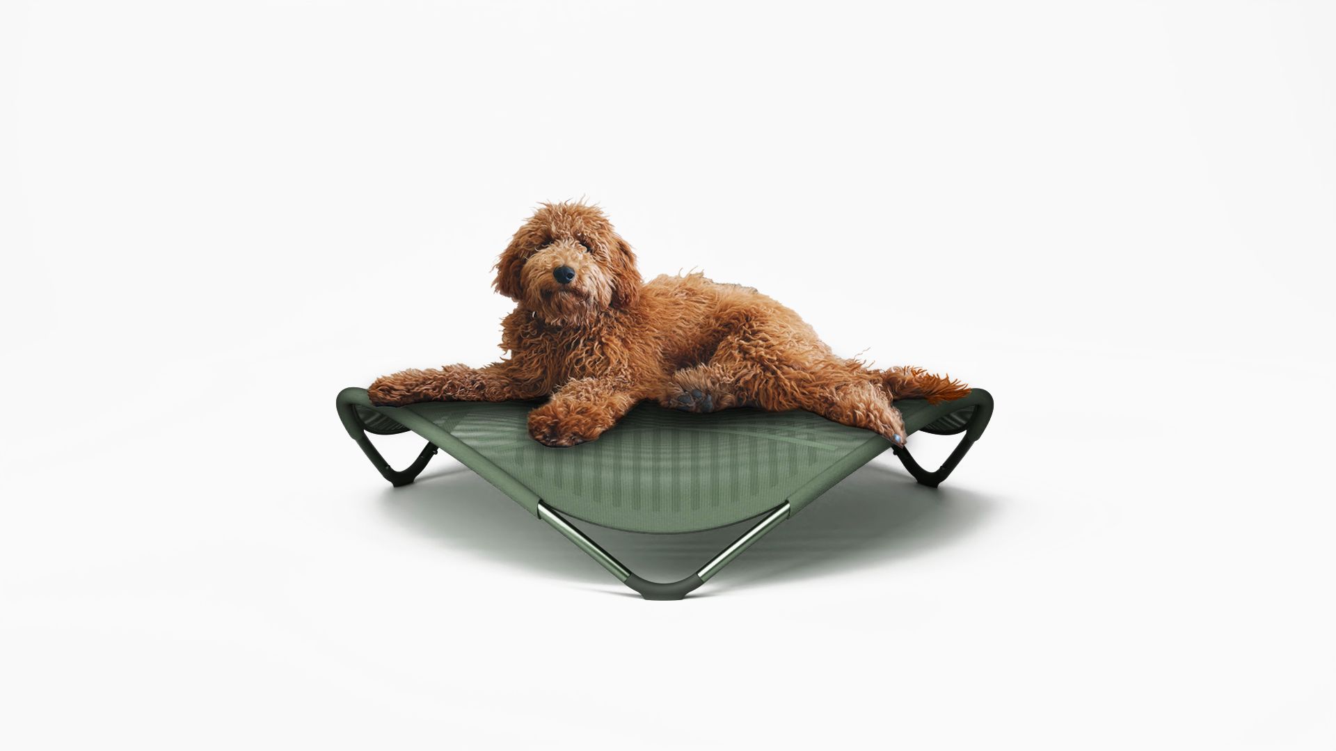 Hover Dog Bed Shortlisted for the Annual UK Barkitecture Competition – SOM